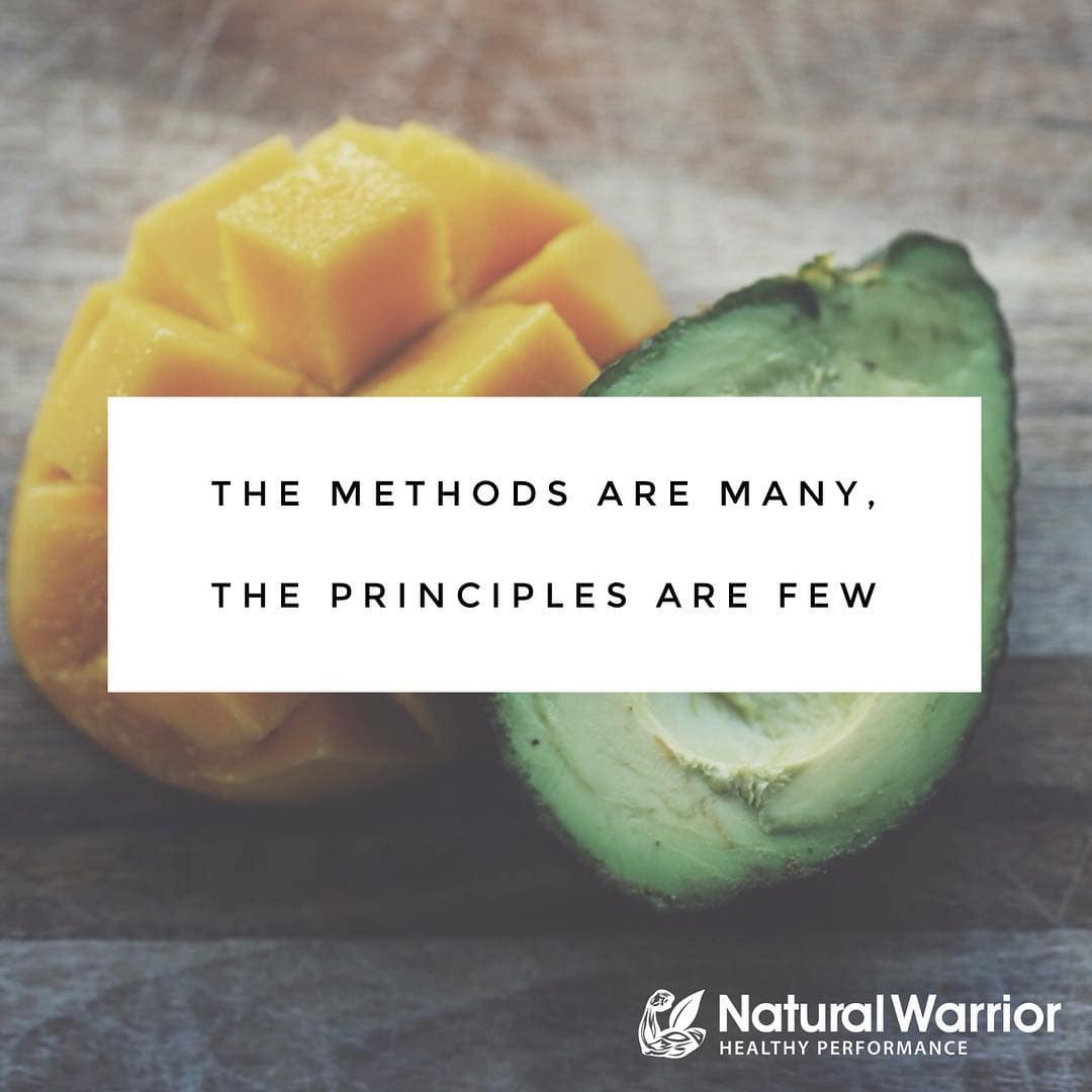The Methods Are Many, The Principles Are Few - Natural Warrior